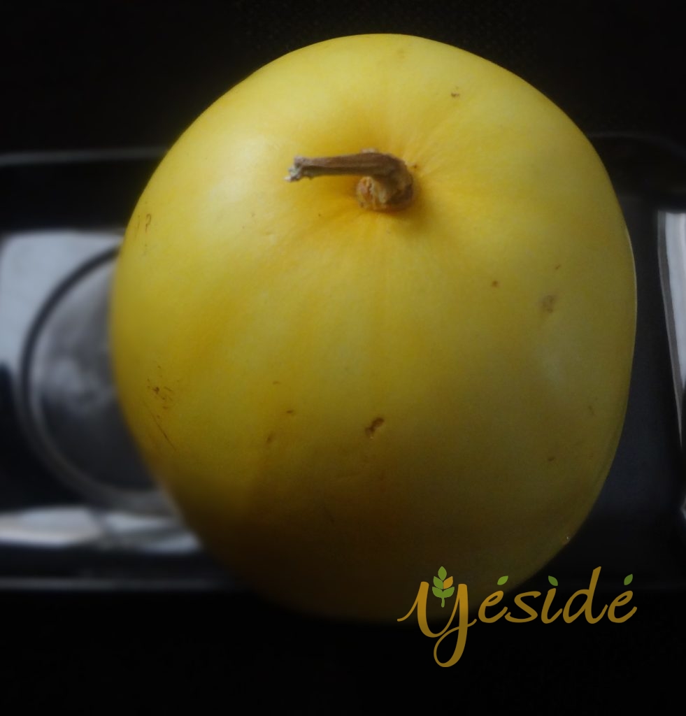 Sweet Melon (Golden Melon) - BeHealthyAfrica.com