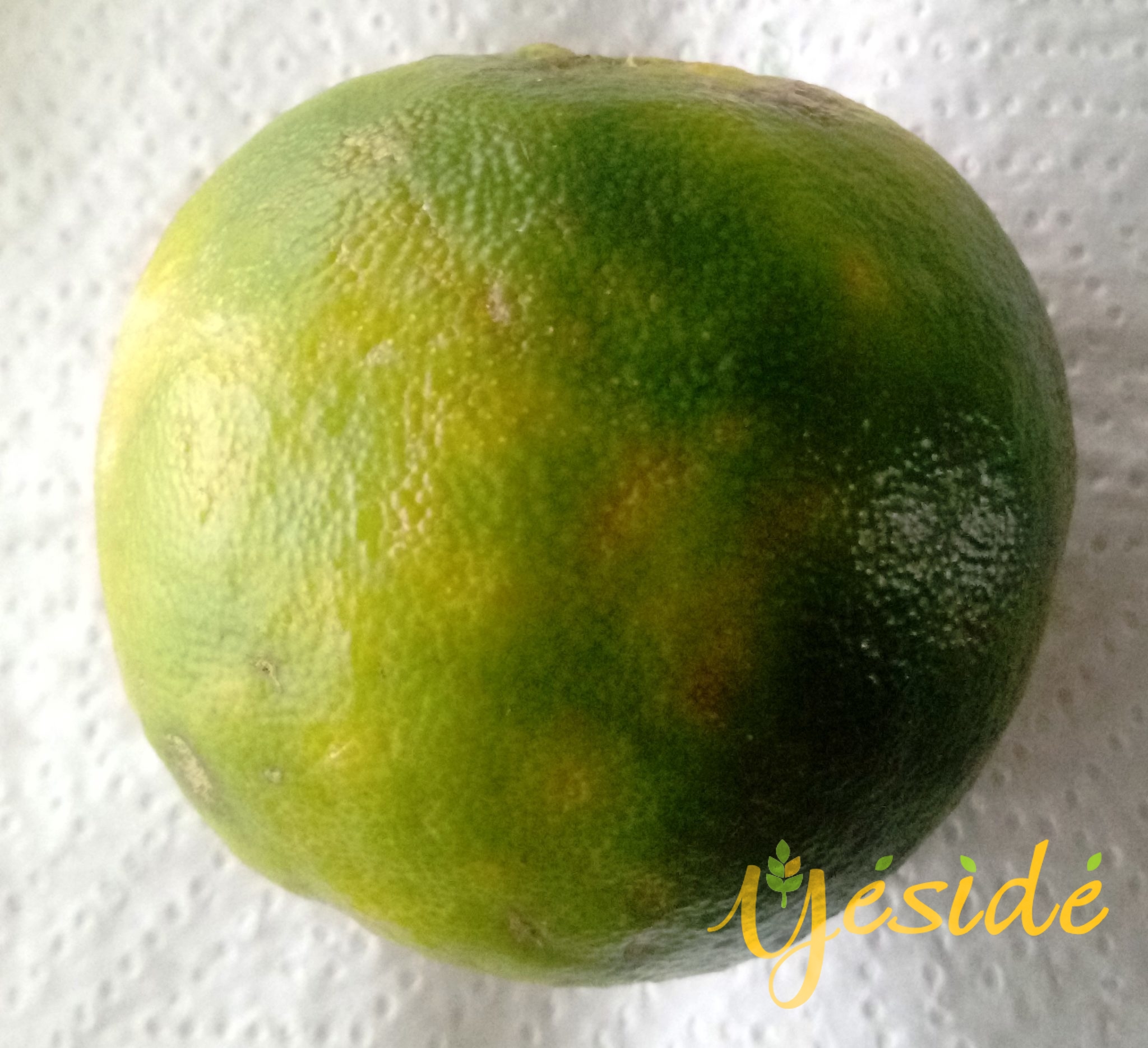 2 Tangerines Can Meet Your Vitamin C Needs for the Day ...