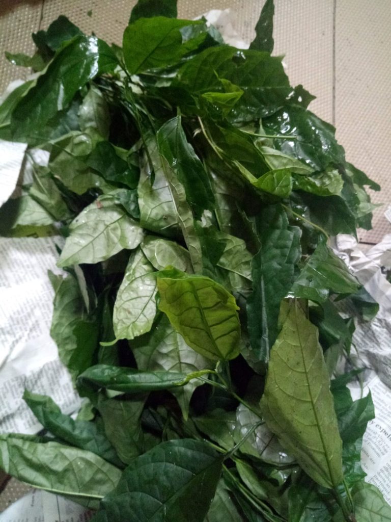 Gbanunu Soup – A traditional Medicinal Soup from Ondo (Modified recipe ...