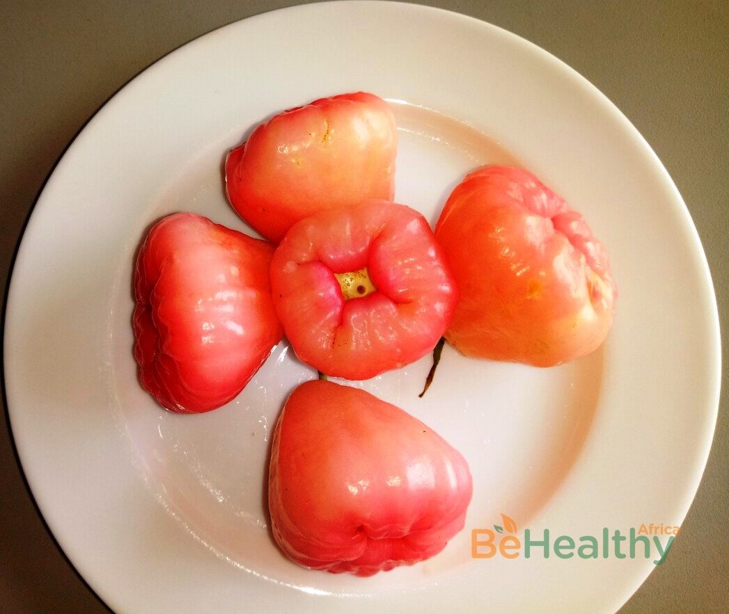 Rose Apple Fruit - BeHealthyAfrica.com