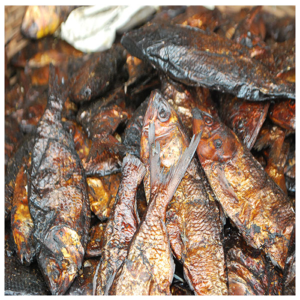 Fish of West Africa: Bonga fish - BeHealthyAfrica.com